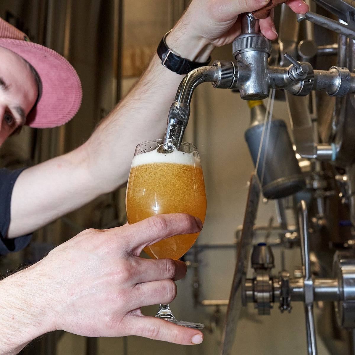 Explore Our Craft Beers Series | WILLS Brewery & Bar